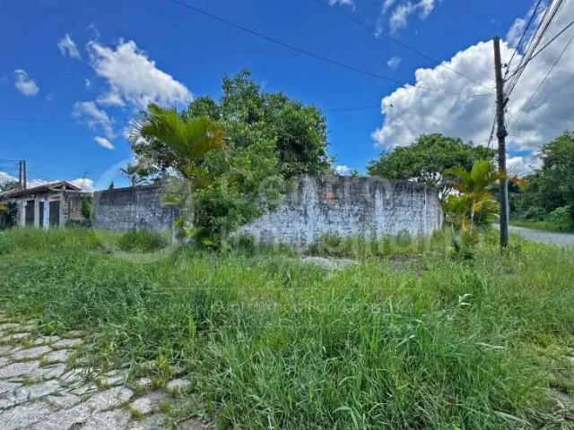 Terreno / Lote para Venda em Peruíbe/SP Estância Balneária Maria Helena Novaes