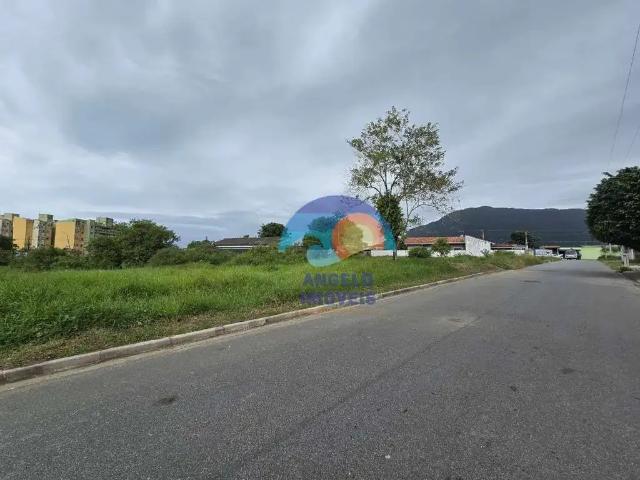 Terreno / Lote para Venda em Peruíbe/SP Estancia Dos Eucaliptos