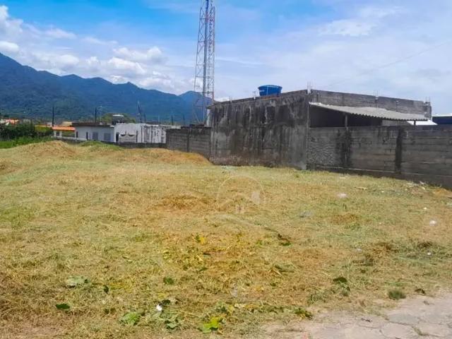 Terreno / Lote para Venda em Peruíbe/SP Estancia Dos Eucaliptos