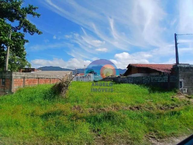 Terreno / Lote para Venda em Peruíbe/SP Estancia Dos Eucaliptos