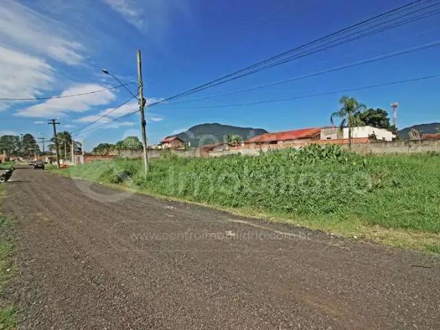 Terreno / Lote para Venda em Peruíbe/SP Estancia Dos Eucaliptos