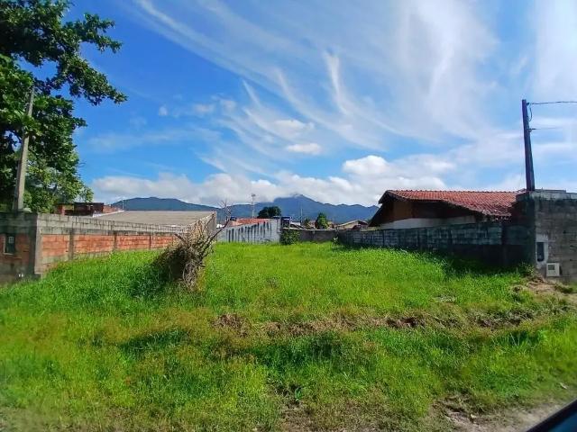 Terreno / Lote para Venda em Peruíbe/SP Estancia Dos Eucaliptos