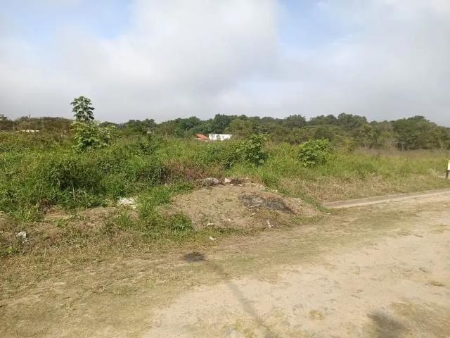 Terreno / Lote para Venda em Peruíbe/SP Estancia Dos Eucaliptos