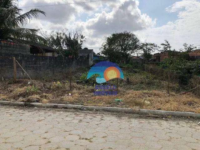 Terreno / Lote para Venda em Peruíbe/SP Estancia Dos Eucaliptos