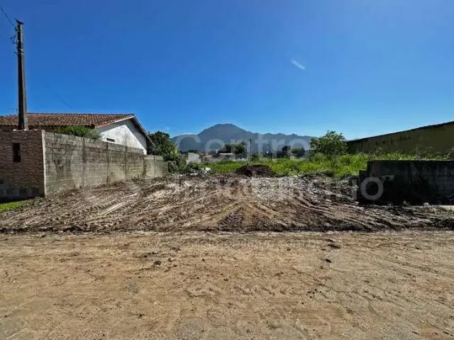 Terreno / Lote para Venda em Peruíbe/SP Estancia Dos Eucaliptos