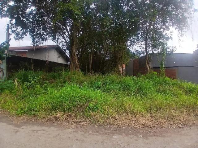 Terreno / Lote para Venda em Peruíbe/SP Estancia Dos Eucaliptos