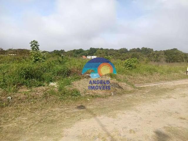 Terreno / Lote para Venda em Peruíbe/SP Estancia Dos Eucaliptos