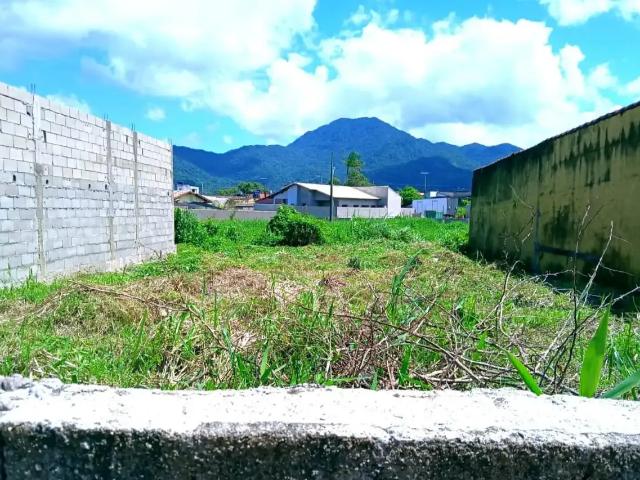 Terreno / Lote para Venda em Peruíbe/SP Estancia Dos Eucaliptos