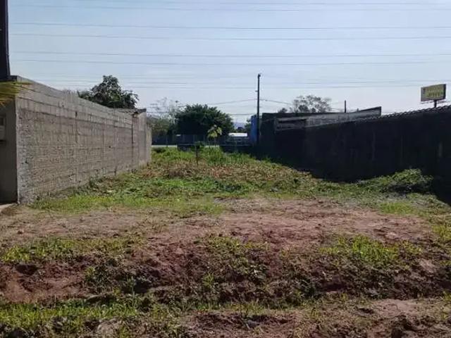 Terreno / Lote para Venda em Peruíbe/SP Estância Leão Novaes