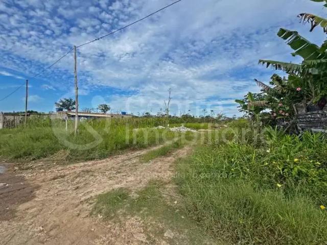 Terreno / Lote para Venda em Peruíbe/SP Estância Leão Novaes