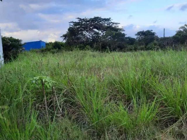 Terreno / Lote para Venda em Peruíbe/SP Estancia São Jose