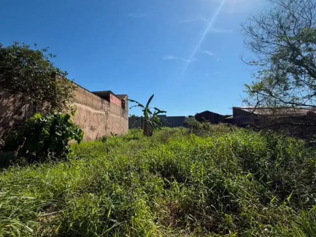 Terreno / Lote para Venda em Peruíbe/SP Estancia São Jose