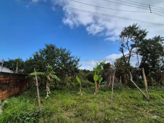 Terreno / Lote para Venda em Peruíbe/SP Estancia São Jose