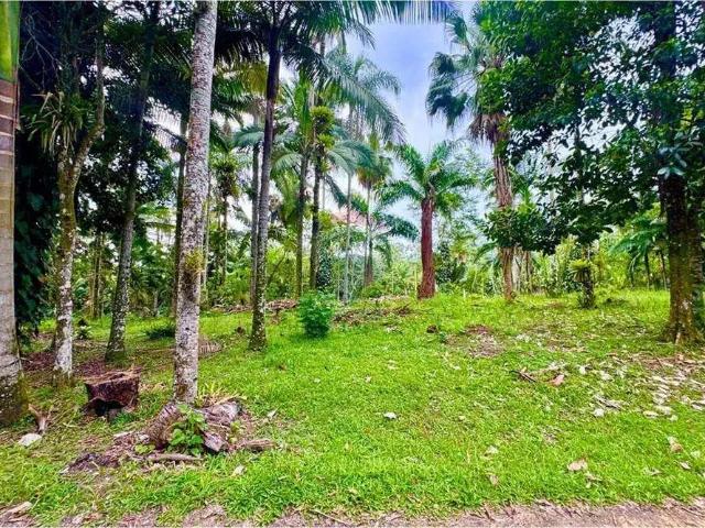 Terreno / Lote para Venda em Peruíbe/SP Estancia São Jose