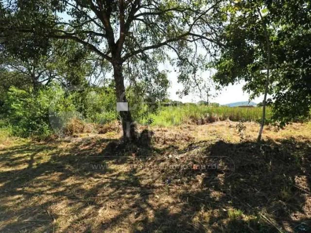 Terreno / Lote para Venda em Peruíbe/SP Estancia São Jose