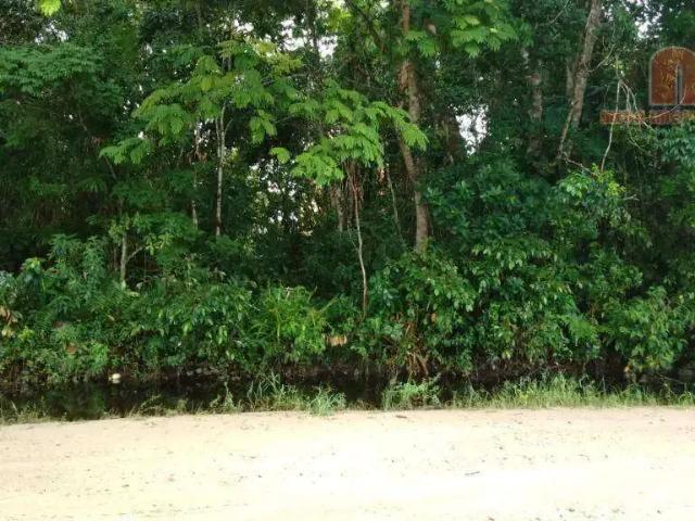 Terreno / Lote para Venda em Peruíbe/SP Estância Santa Gabriela