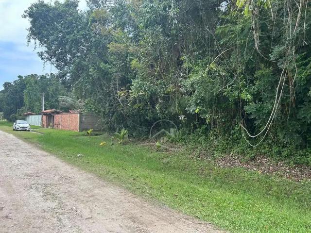 Terreno / Lote para Venda em Peruíbe/SP Estancia Sao Marcos