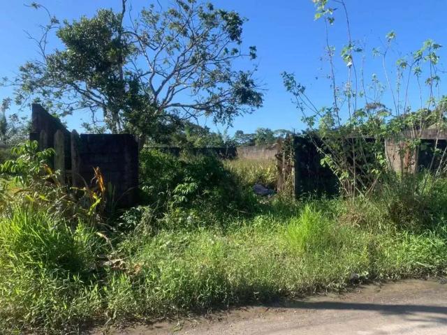 Terreno / Lote para Venda em Peruíbe/SP Estancia Perola Negra