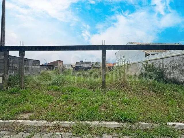 Terreno / Lote para Venda em Peruíbe/SP Flora Rica
