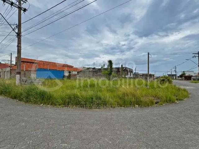 Terreno / Lote para Venda em Peruíbe/SP Flora Rica