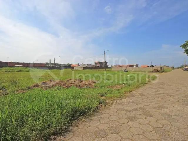 Terreno / Lote para Venda em Peruíbe/SP Flora Rica