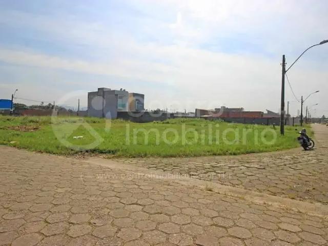 Terreno / Lote para Venda em Peruíbe/SP Flora Rica