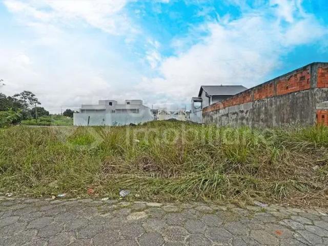 Terreno / Lote para Venda em Peruíbe/SP Flora Rica