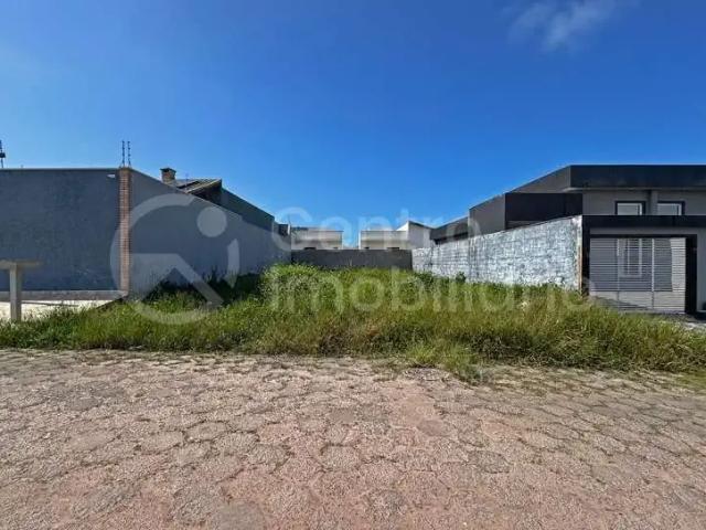 Terreno / Lote para Venda em Peruíbe/SP Flora Rica