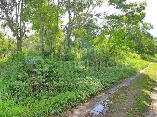 Terreno / Lote para Venda em Peruíbe/SP Jardim Marcia