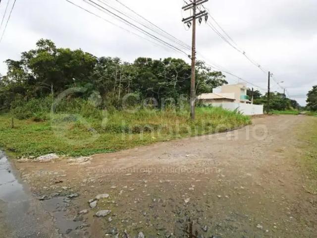 Terreno / Lote para Venda em Peruíbe/SP Jardim Marcia