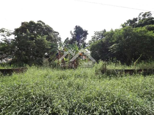 Terreno / Lote para Venda em Peruíbe/SP Jardim Marcia