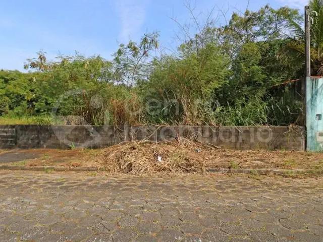 Terreno / Lote para Venda em Peruíbe/SP Jardim Belmar