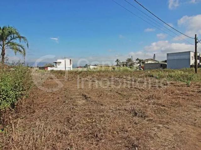 Terreno / Lote para Venda em Peruíbe/SP Jardim Belmar