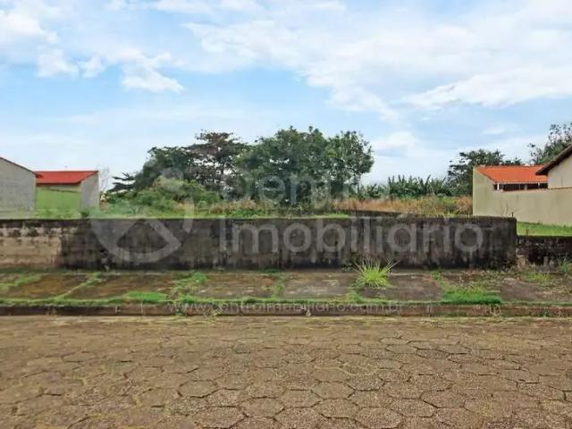 Terreno / Lote para Venda em Peruíbe/SP Jardim Belmar