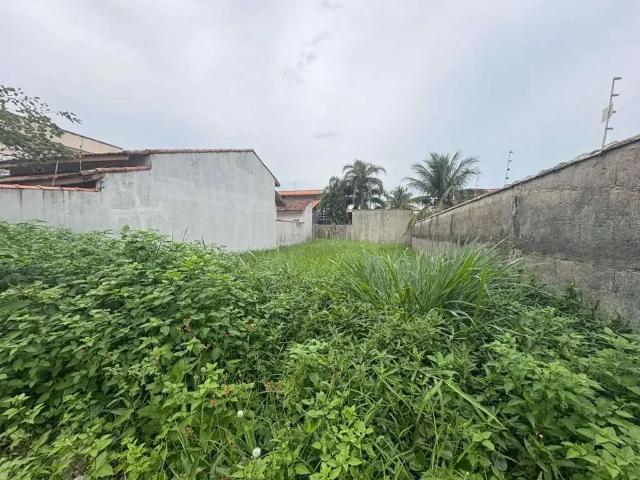 Terreno / Lote para Venda em Peruíbe/SP Jardim Casablanca