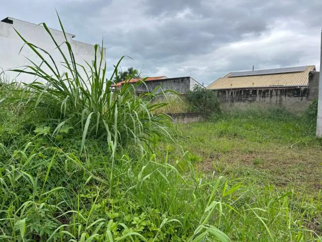 Terreno / Lote para Venda em Peruíbe/SP Jardim Casablanca