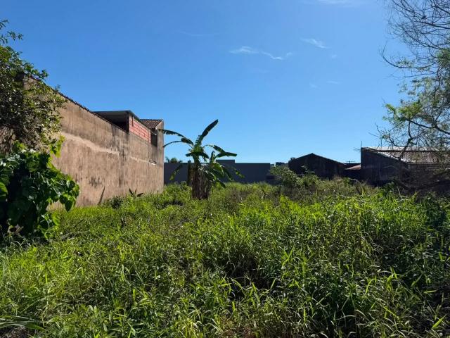 Terreno / Lote para Venda em Peruíbe/SP Jardim Casablanca