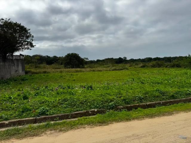 Terreno / Lote para Venda em Peruíbe/SP Jardim Casablanca