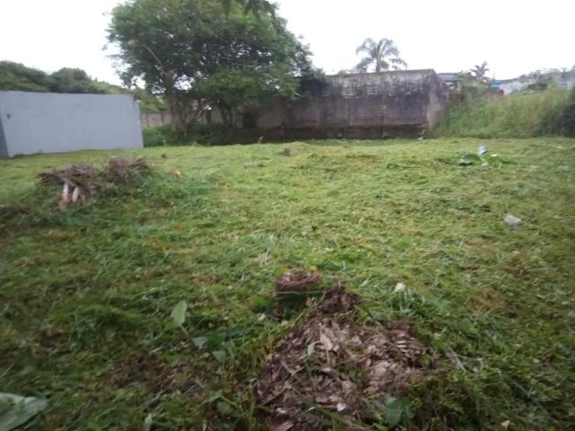 Terreno / Lote para Venda em Peruíbe/SP Jardim Casablanca