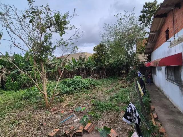 Terreno / Lote para Venda em Peruíbe/SP Jardim Caraguava