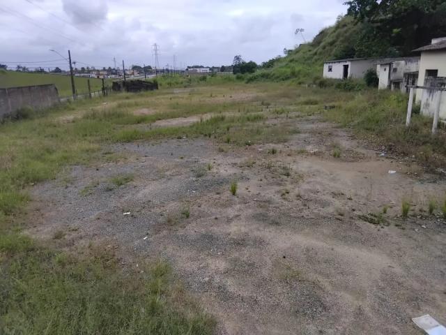 Terreno / Lote para Venda em Peruíbe/SP Jardim Dos Prados
