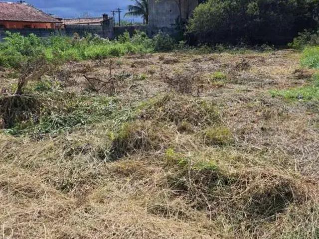 Terreno / Lote para Venda em Peruíbe/SP Jardim Itatins