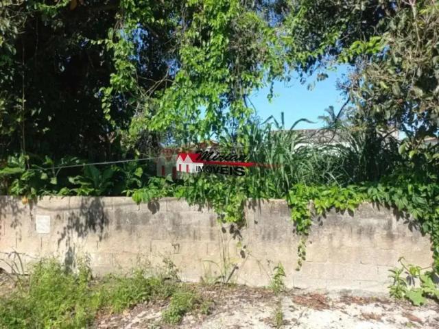 Terreno / Lote para Venda em Peruíbe/SP Jardim Icaraíba