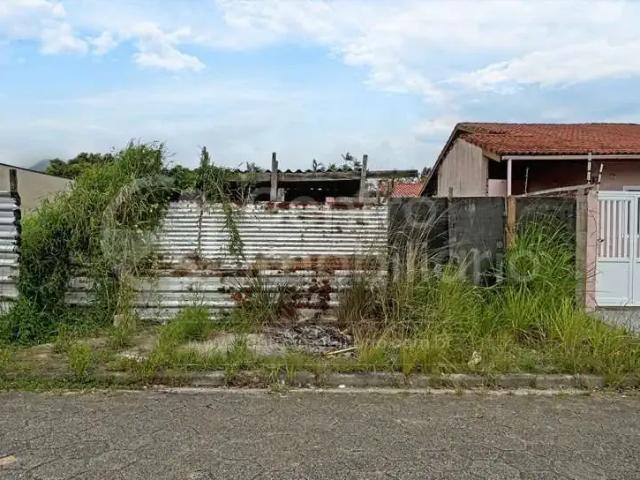 Terreno / Lote para Venda em Peruíbe/SP Jardim Peruíbe