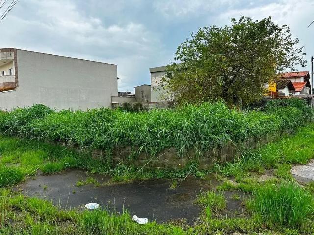 Terreno / Lote para Venda em Peruíbe/SP Jardim Peruíbe