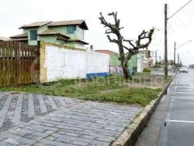 Terreno / Lote para Venda em Peruíbe/SP Jardim Ribamar