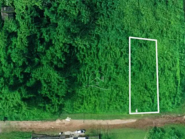 Terreno / Lote para Venda em Peruíbe/SP Jardim Ribamar