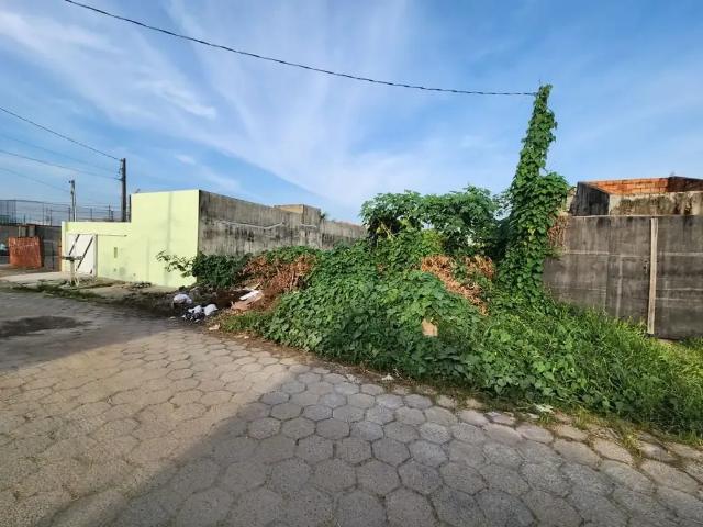 Terreno / Lote para Venda em Peruíbe/SP Jardim Ribamar