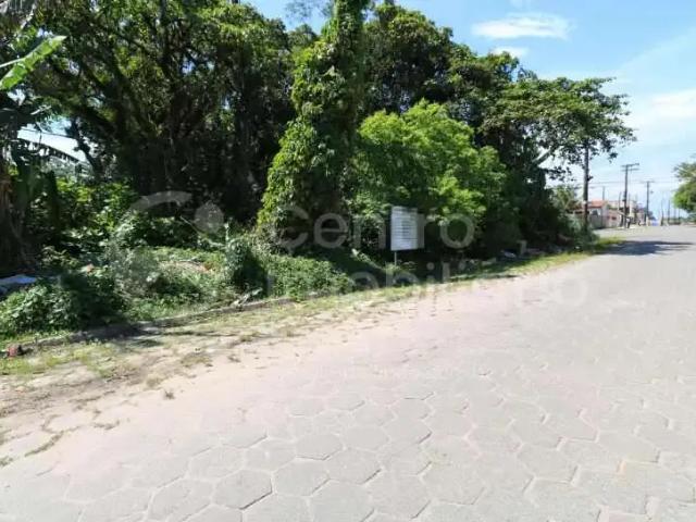 Terreno / Lote para Venda em Peruíbe/SP Jardim Ribamar
