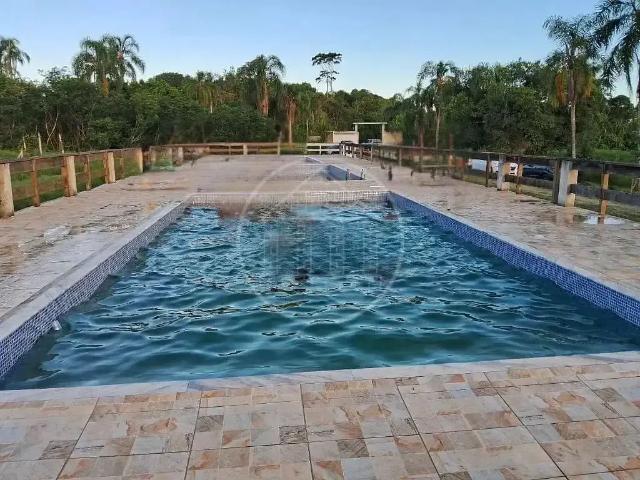 Terreno / Lote para Venda em Peruíbe/SP Jardim Ribamar